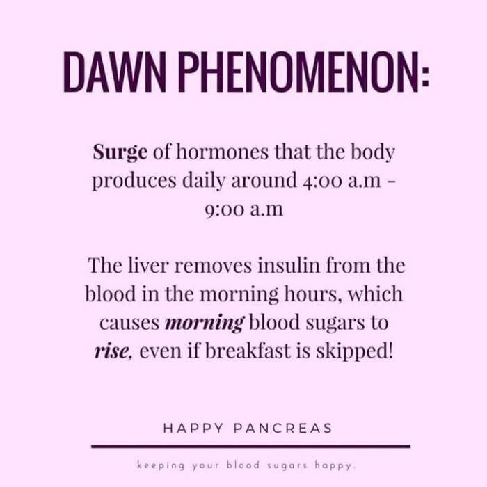 Dawn Phenomenon – Adventist Vegetarian Diabetics